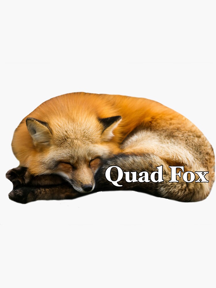 "University of Rochester Quad Fox" Sticker by annette3102 | Redbubble