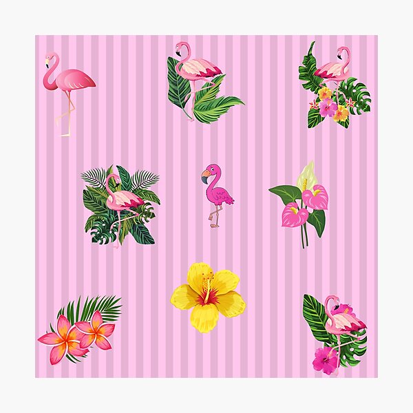 Lámina fotográfica «Tropical Exotic Pink Flamingo Palmera Hojas, Flores ...
