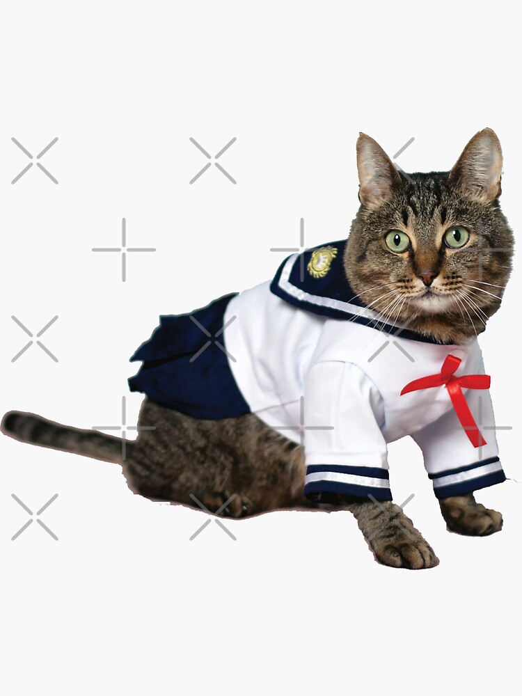 Pegatina «Gato con traje | Meme Gato Gracioso» de Freefay | Redbubble