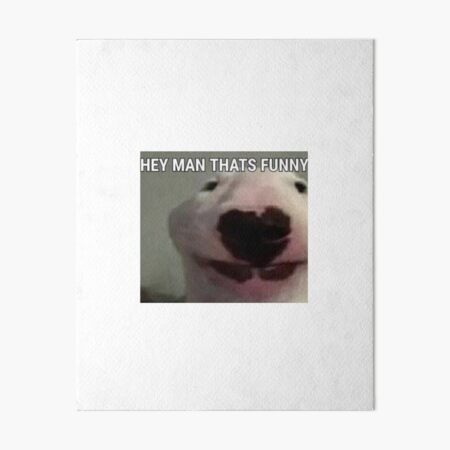 "walter meme" Art Board Print for Sale by mrspooder | Redbubble