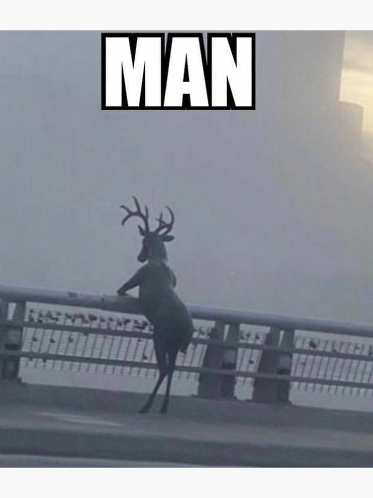 "disappointed man deer meme" Photographic Print for Sale by mrspooder ...