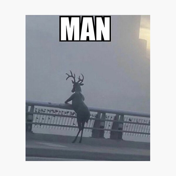 Angry Deer Memes