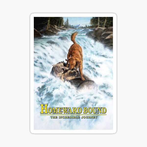 "Homeward Bound The Incredible Journey" Sticker for Sale by Harrisonst ...