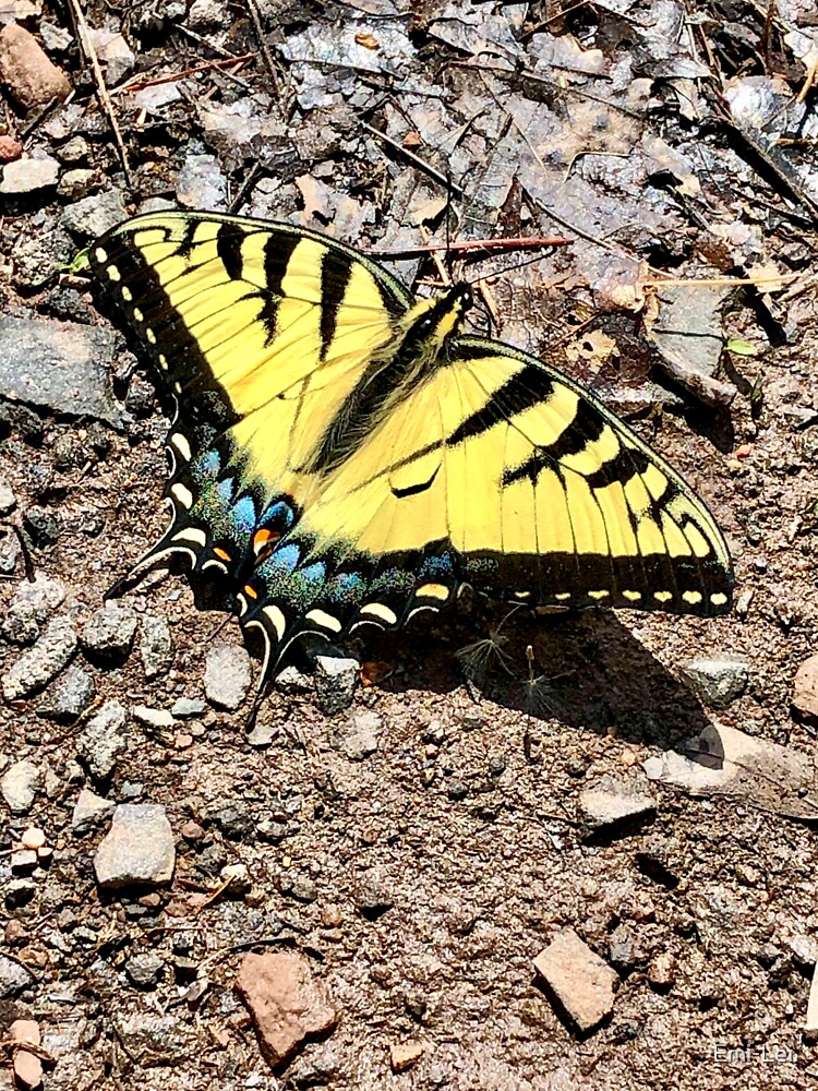 "Flutter" Sticker for Sale by Emi-Lei | Redbubble