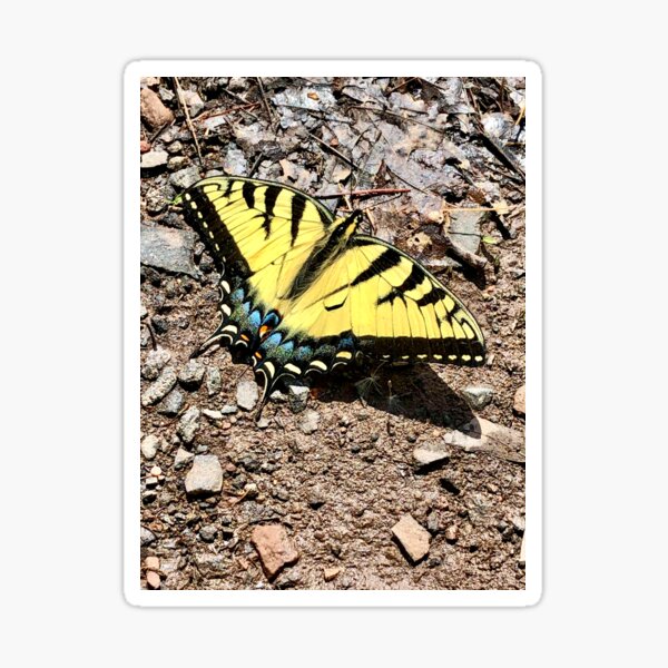 "Flutter" Sticker for Sale by Emi-Lei | Redbubble