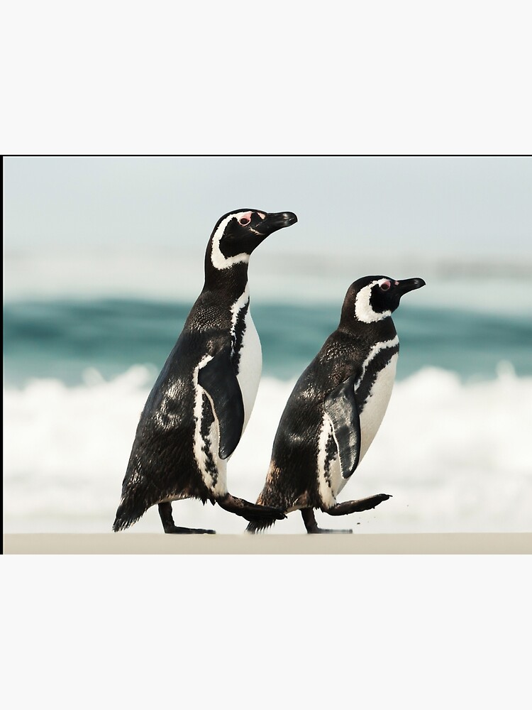 " Penguins print,Penguin poster,Penguin wall art,Penguin art, ocean ...