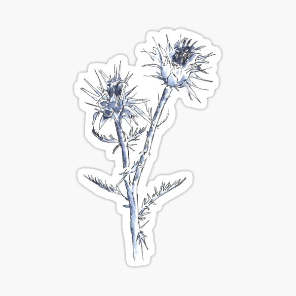 "Thistle" Sticker by ideiarte | Redbubble