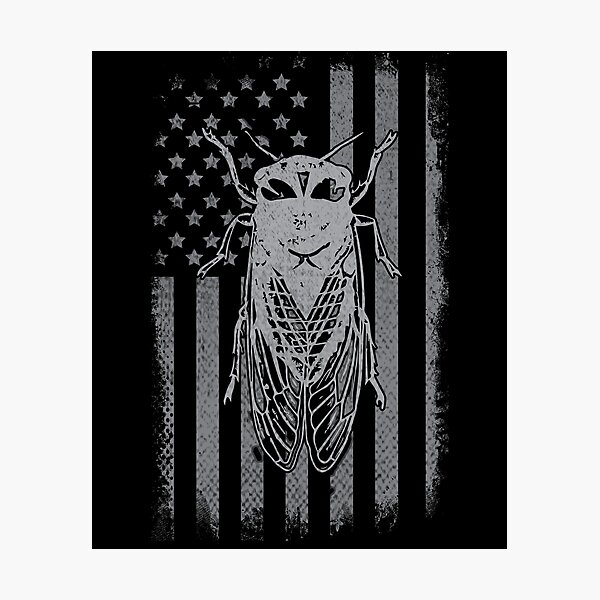 "They're Back Cicadas 2021 Swarm Brood X Periodical US Flag ...