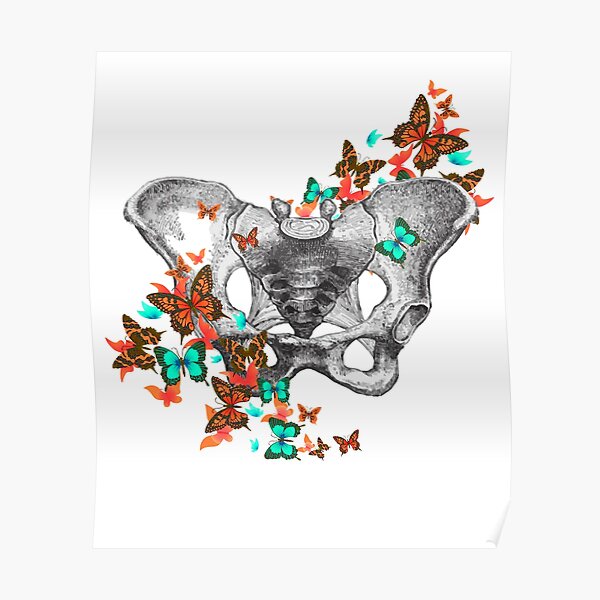 "female bones of the pelvis, colorful butterflies, Feminism, anatomy ...