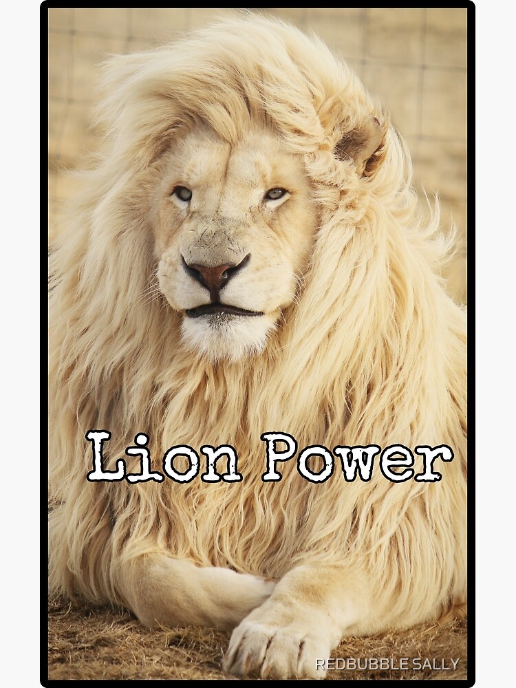 "Lion Power" Poster for Sale by Petra311266 | Redbubble