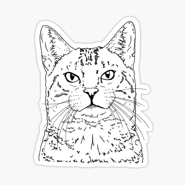 "Tom Cat" Sticker for Sale by thesanecatlady | Redbubble