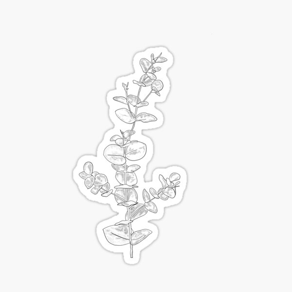 "Healing Eucalyptus Green Twig" Sticker for Sale by Mondakranta | Redbubble
