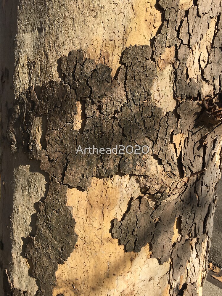 "Bark" Sticker by Arthead2020 | Redbubble