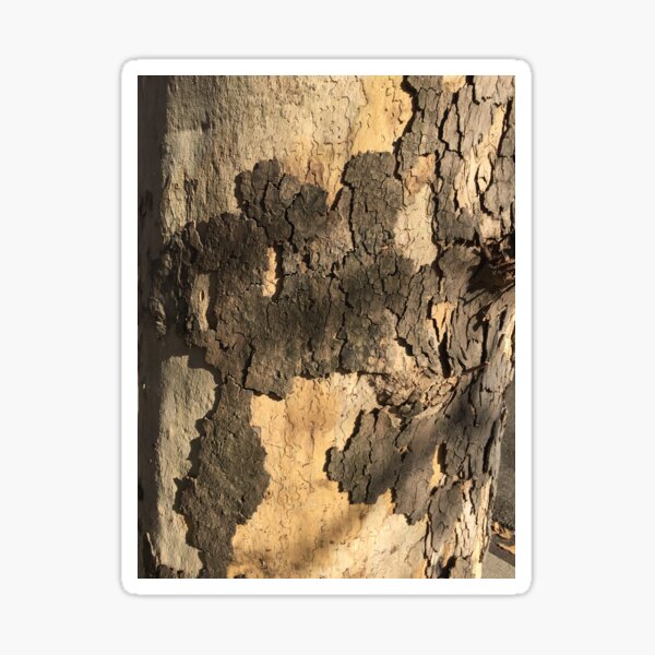 "Bark" Sticker by Arthead2020 | Redbubble