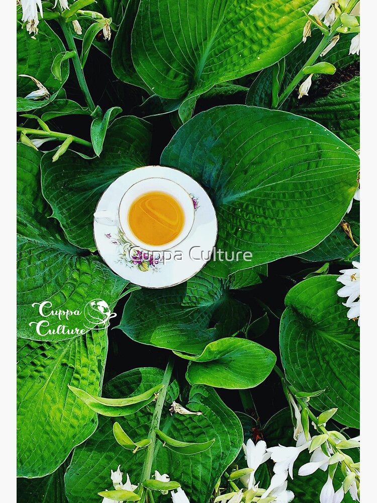 "Tea with Hostas" Sticker for Sale by CuppaCulture | Redbubble