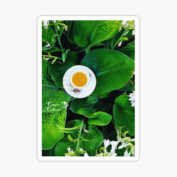 "Tea with Hostas" Sticker for Sale by CuppaCulture | Redbubble