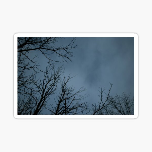 "Treetops" Sticker for Sale by mikayla-shuster | Redbubble