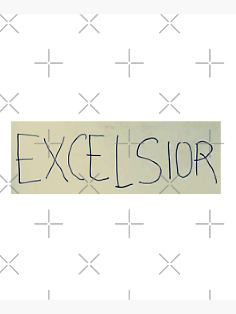 Silver Linings Playbook Excelsior Quote