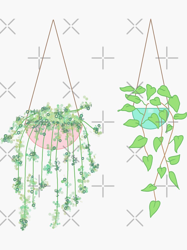 "Hanging Plants" Sticker for Sale by TiffanyMcKee | Redbubble