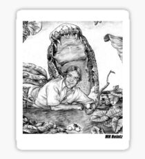 Steve Irwin: Stickers | Redbubble