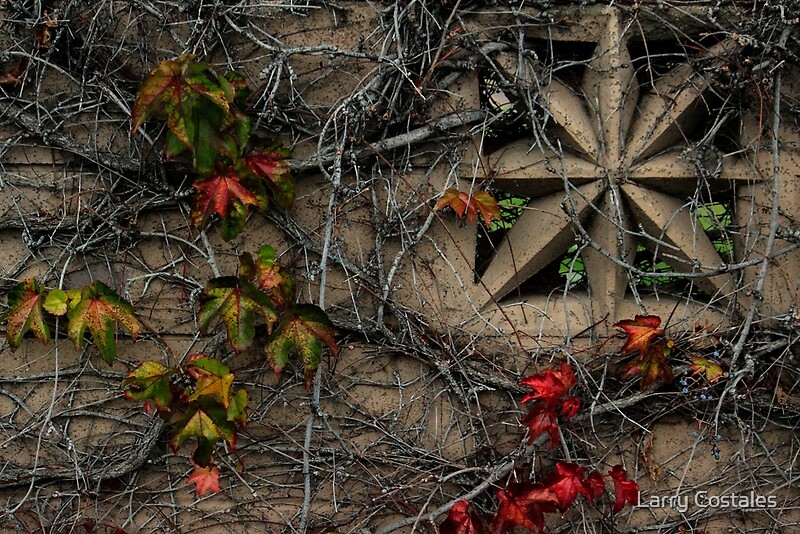 "Cemetery Wall- Study Of Textures" by Larry Costales | Redbubble