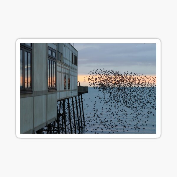 "Departure" Sticker for Sale by GreyFeatherPhot | Redbubble