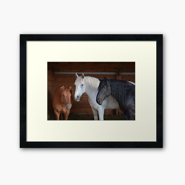 Percheron Merch & Gifts for Sale | Redbubble
