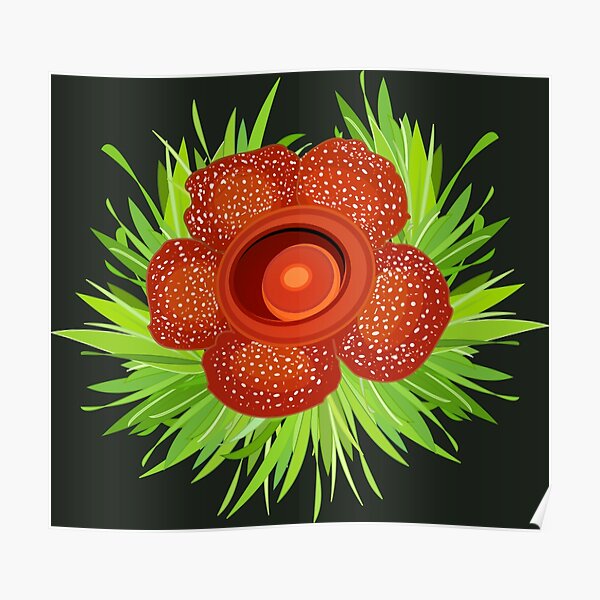"Rafflesia" Poster for Sale by Lidunia | Redbubble