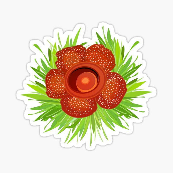 "Rafflesia" Sticker for Sale by Lidunia | Redbubble