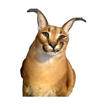 "Big Floppa" Poster for Sale by Han Zo | Redbubble