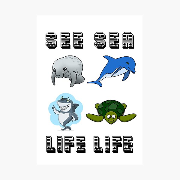 "See Sea Life Life Manatee Bottle Nose Dolphin Smiling Shark Sea Turtle ...