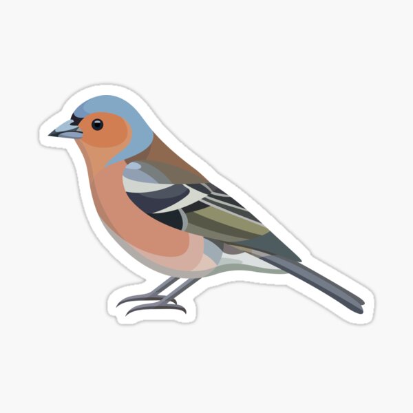 "Finch bird illustration." Sticker for Sale by KasTanDesign | Redbubble