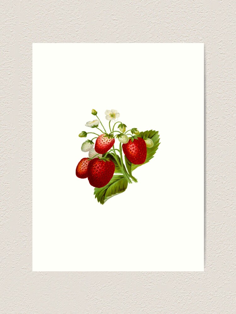 "Strawberry, cottage core" Art Print by Blaubeerspinne | Redbubble