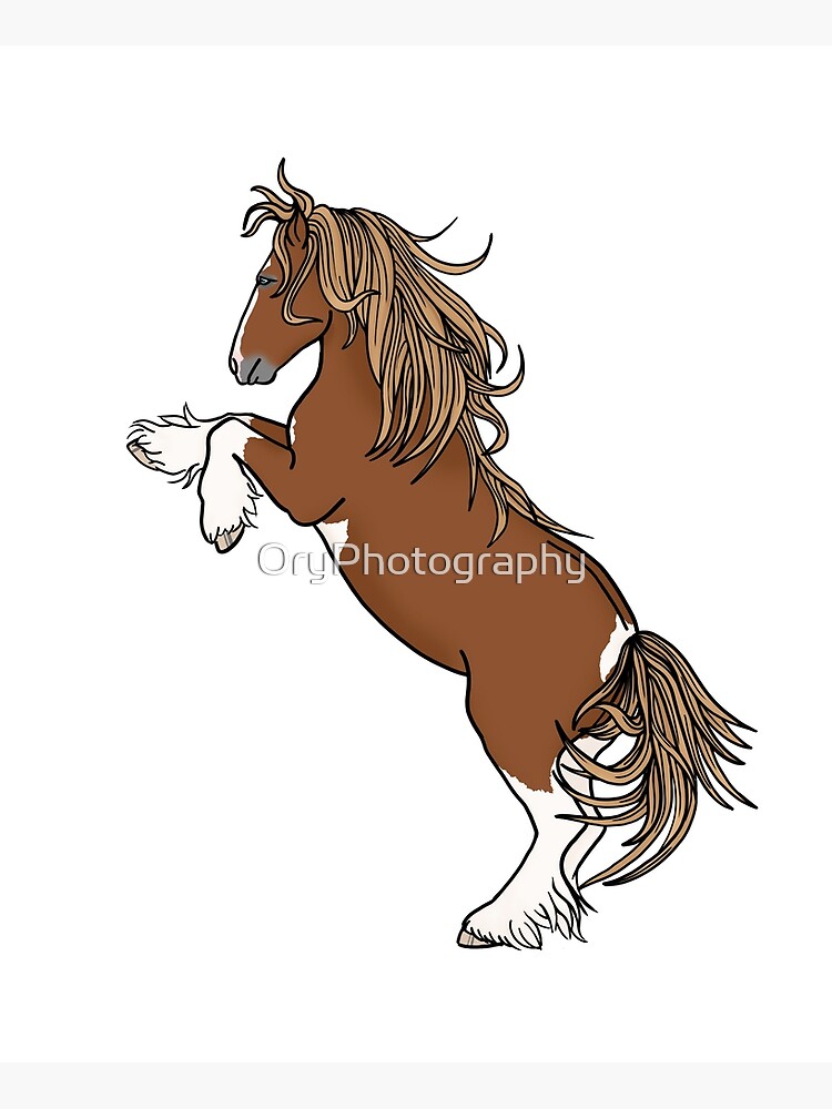 "Rearing Gypsy Vanner- Flaxen Chestnut" Poster for Sale by ...