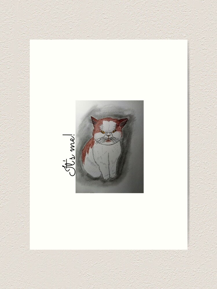 "Pencil drawing of an angry cat" Art Print for Sale by Yamiden | Redbubble