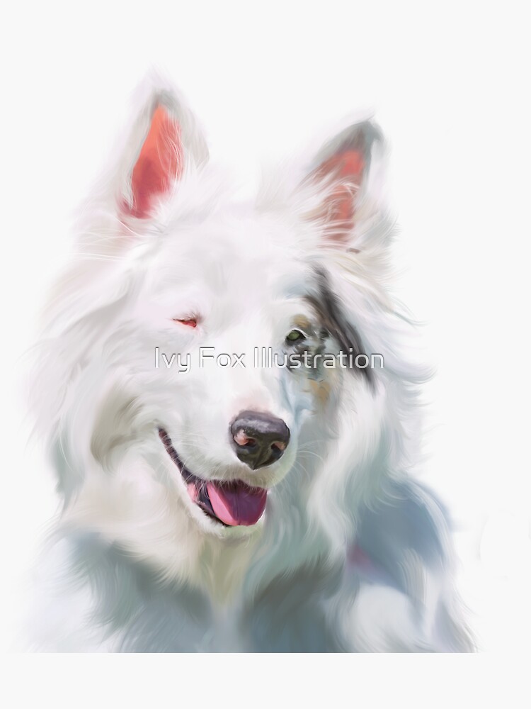 "Double Merle aussie" Sticker by IvyFox1 | Redbubble
