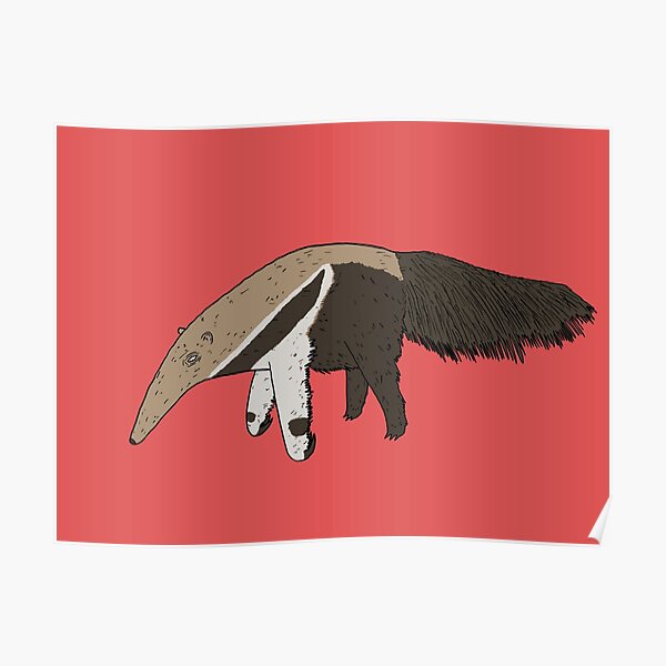 "The Anteater" Poster for Sale by Abiesprocera | Redbubble
