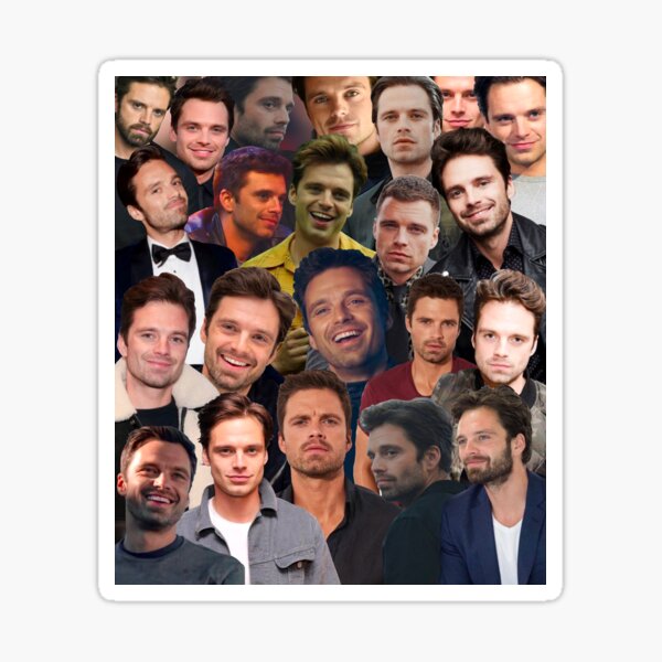 "Sebastian Stan Photo Collage 3" Sticker for Sale by Jess-16 | Redbubble