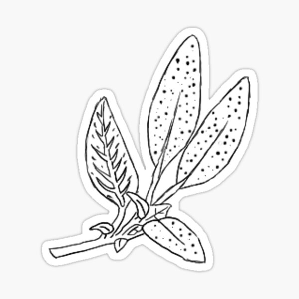 "Sage" Sticker for Sale by ImbiWimbles | Redbubble