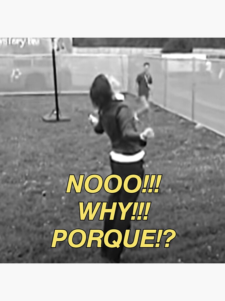 "NO WHY PORQUE sticker the Strokes In Transit " Sticker for Sale by ...