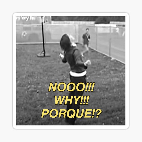 "NO WHY PORQUE sticker the Strokes In Transit " Sticker for Sale by ...