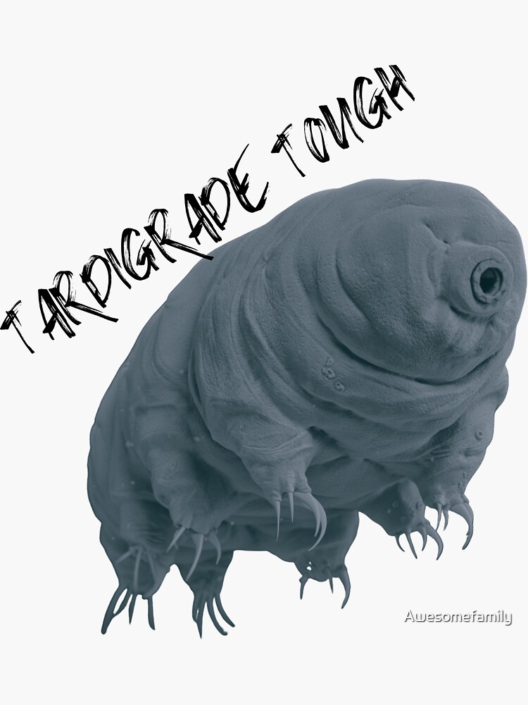 "Tardigrade tough" Sticker for Sale by Awesomefamily | Redbubble