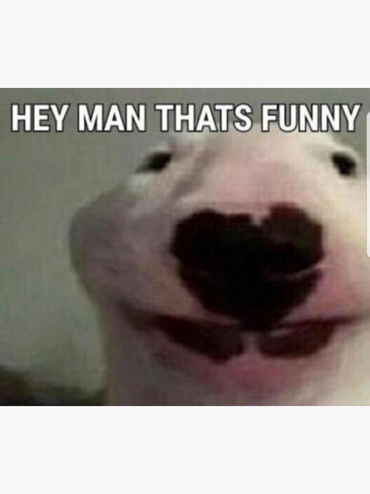 "Walter Hey Man Thats Pretty Funny" Sticker for Sale by RarePNGs ...