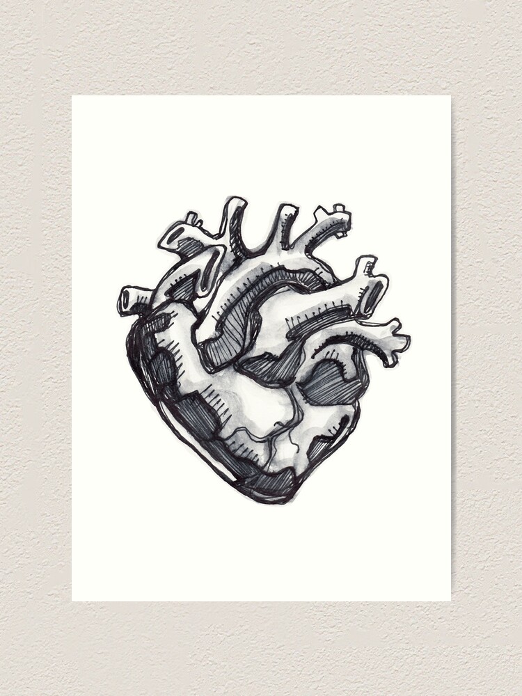 "Human heart ink drawing" Art Print by bernardojbp | Redbubble