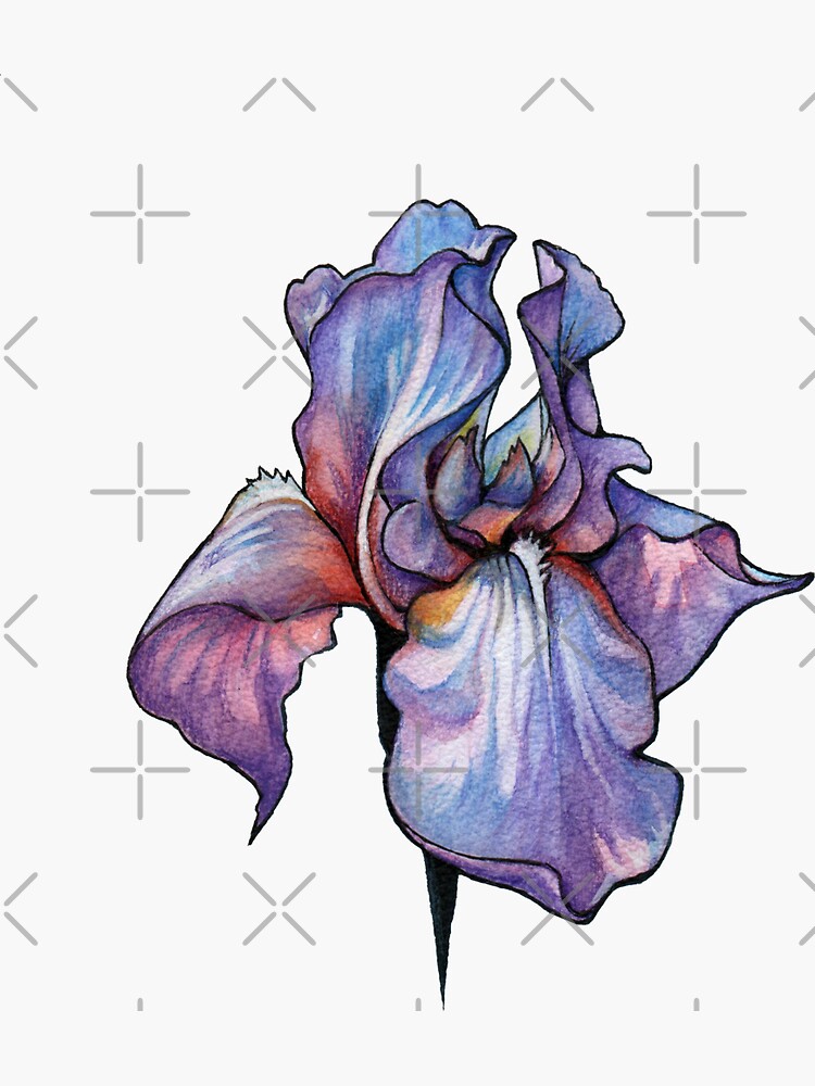 "Iris" Sticker for Sale by Elena Naylor | Redbubble