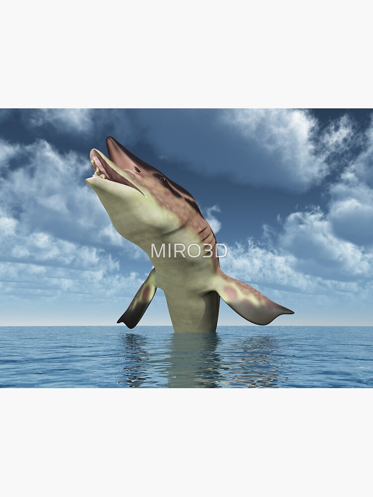 Edestus Shark Kohlestoffhaltiger Edestus Haifisch Stock Abbildung