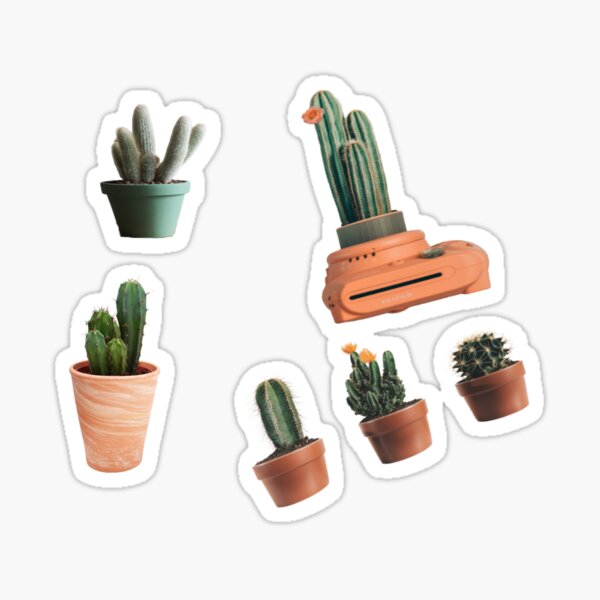 "CACTUS STICKER PACK" Sticker by feelingartsy9 | Redbubble