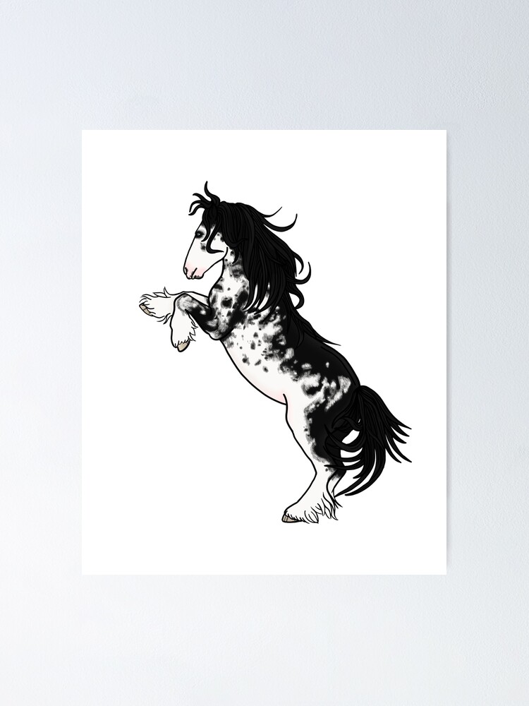"Rearing Gypsy Vanner- Black Sabino" Poster for Sale by OryPhotography ...