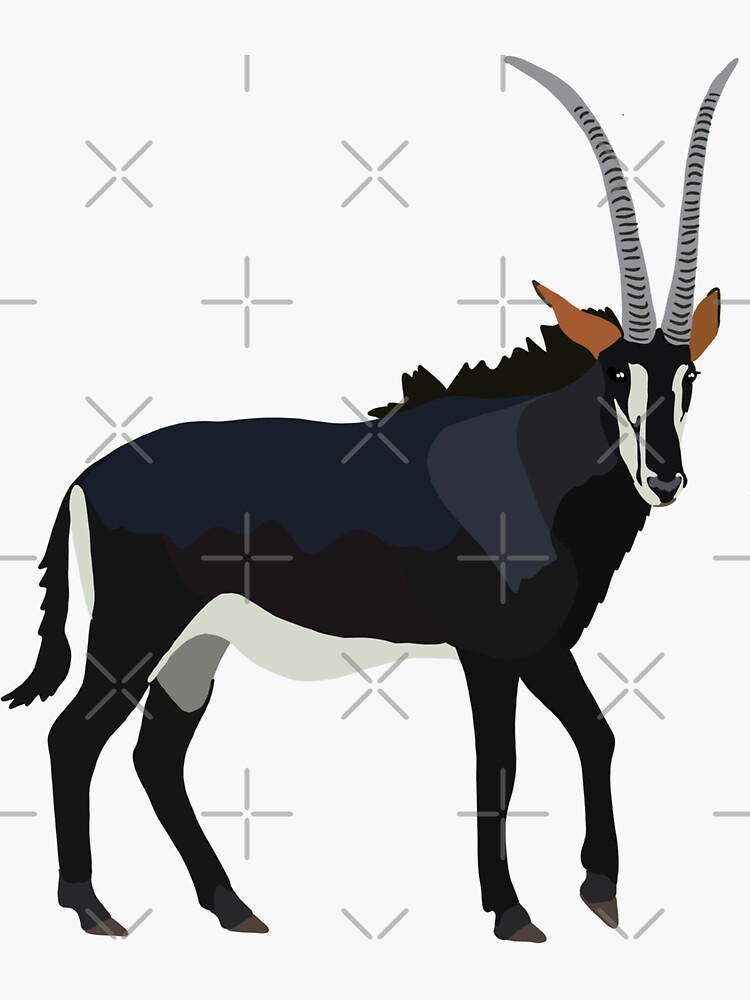 "S is for Sable Antelope ,Sable Antelope Artwork – Majestic African ...
