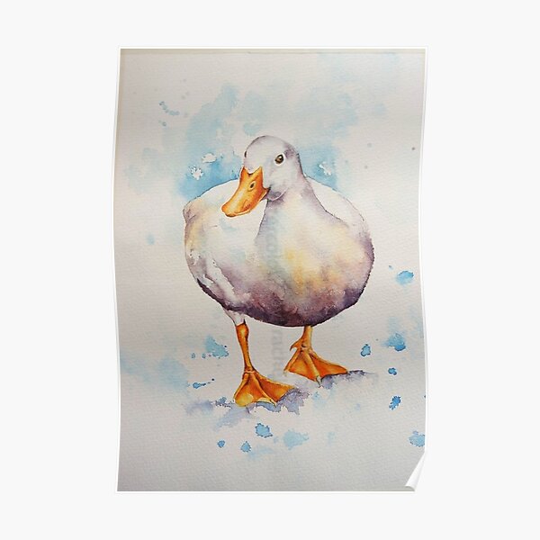 "Curious Duck White - Unique pen & ink drawing, watercolour portray ...
